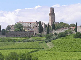 Pordenone, city of Gallini Cup | What to do in Friuli Venezia Giulia